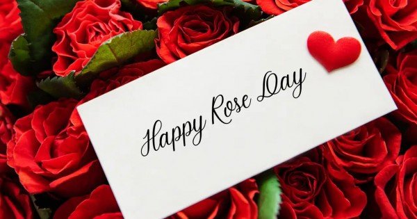 Happy Rose Day 2026: Heartfelt Rose Day Wishes