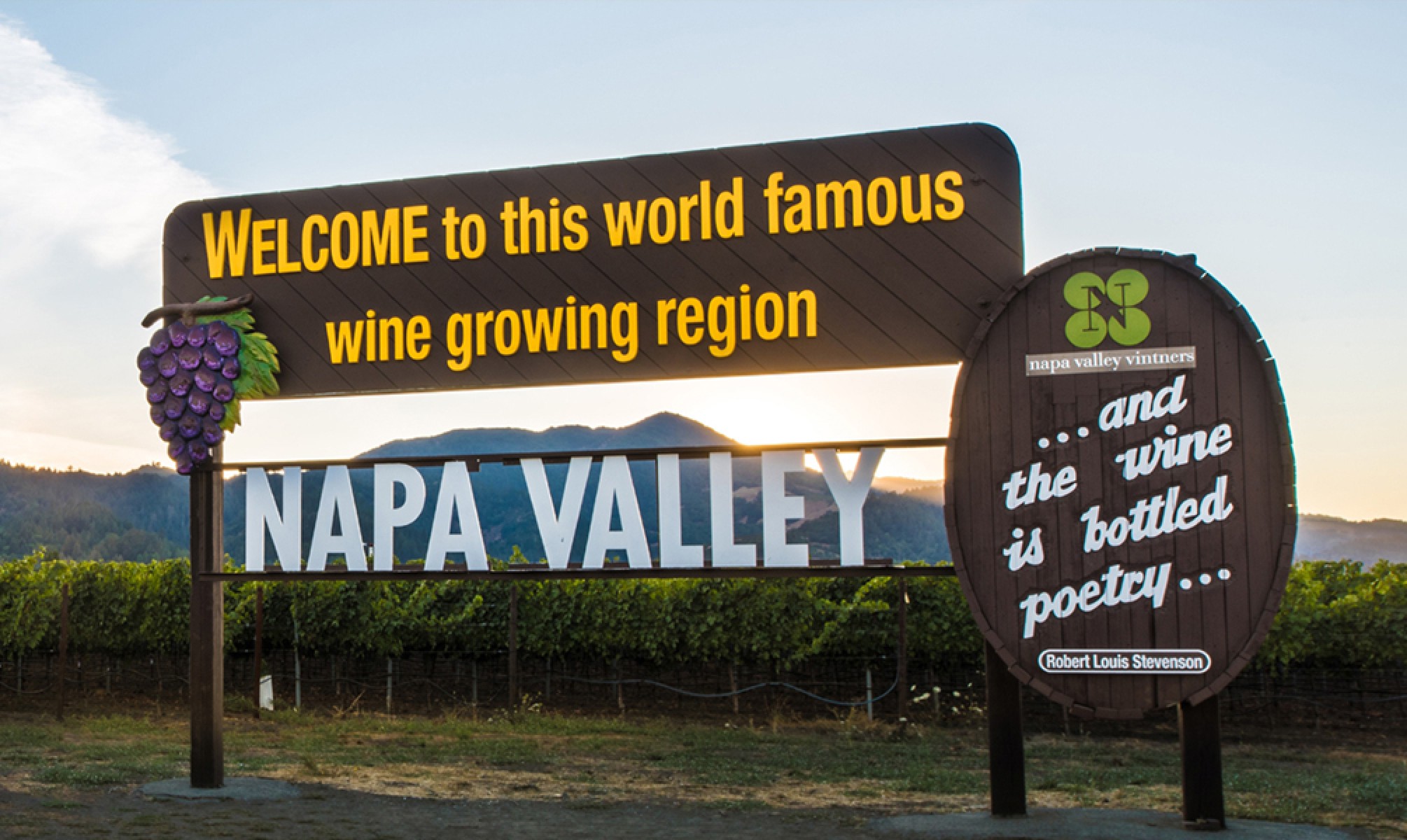 Napa Valley Wine Guide -Top Wineries, Grape Varieties & More